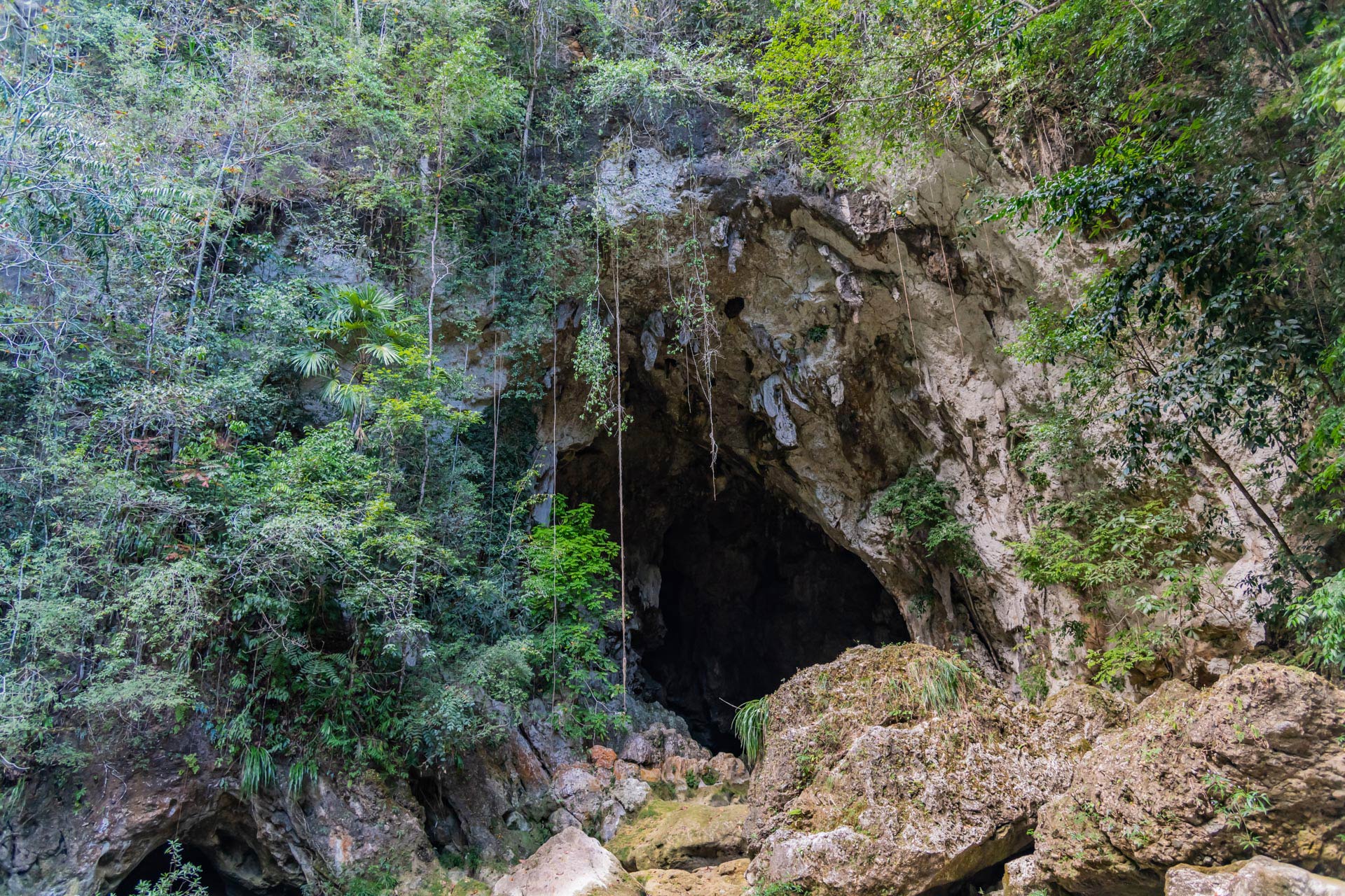 Der faszinierende Blue Creek in Belize